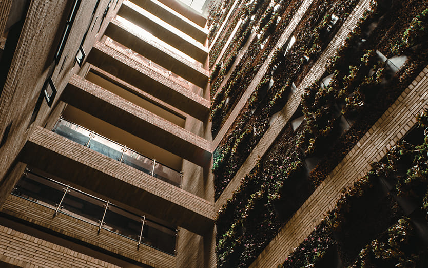 IOS Virrey – Constructora Novenza